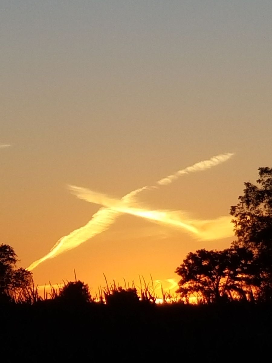 “Is Sin Real?” – SparrowHawk > Live small / Fight BIG